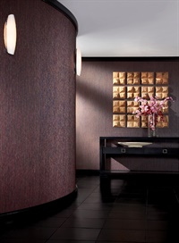 Type II Wallcoverings | Type II Wallpaper, 20 oz